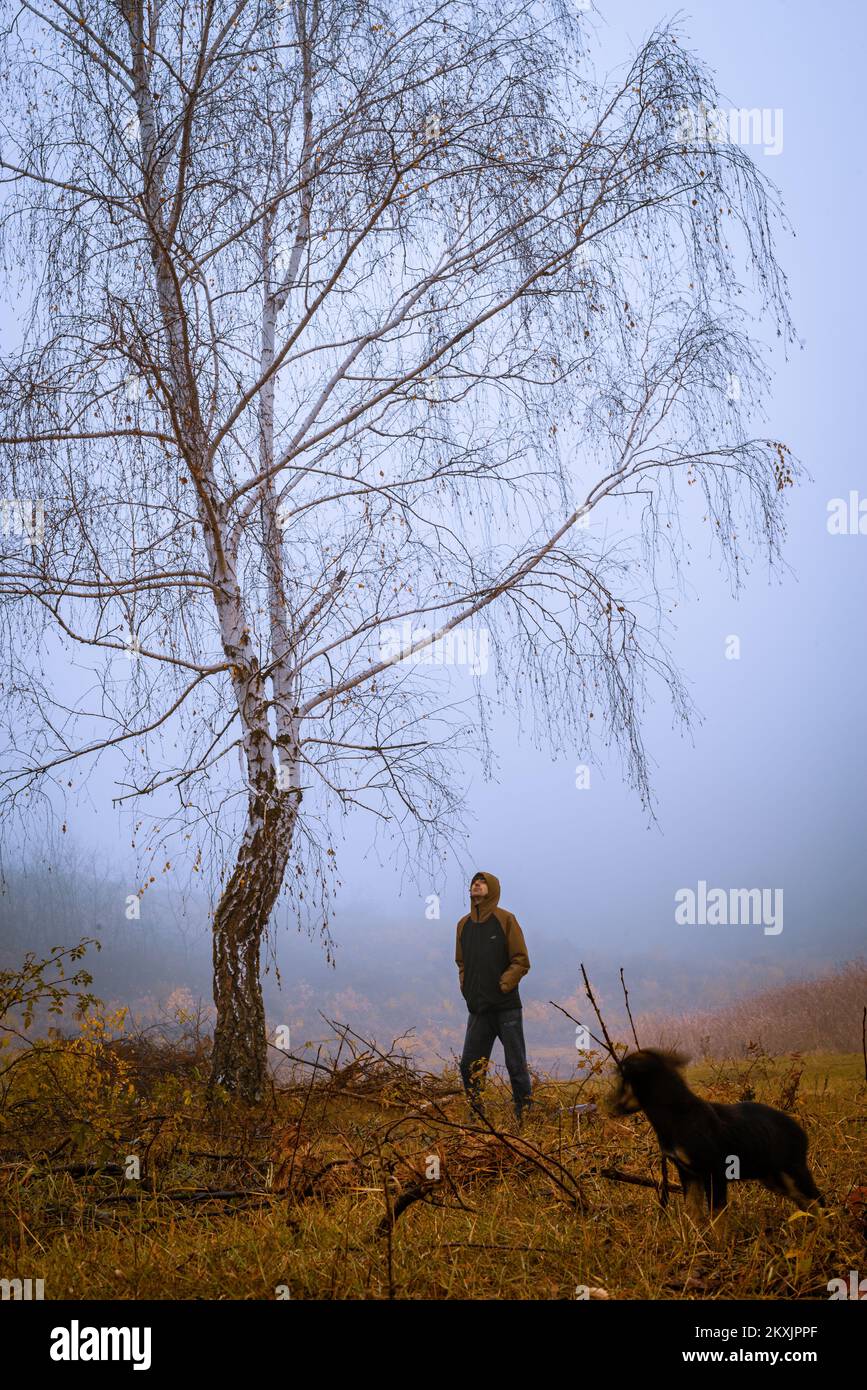 Horror scene mystical landscape fear hi-res stock photography and ...