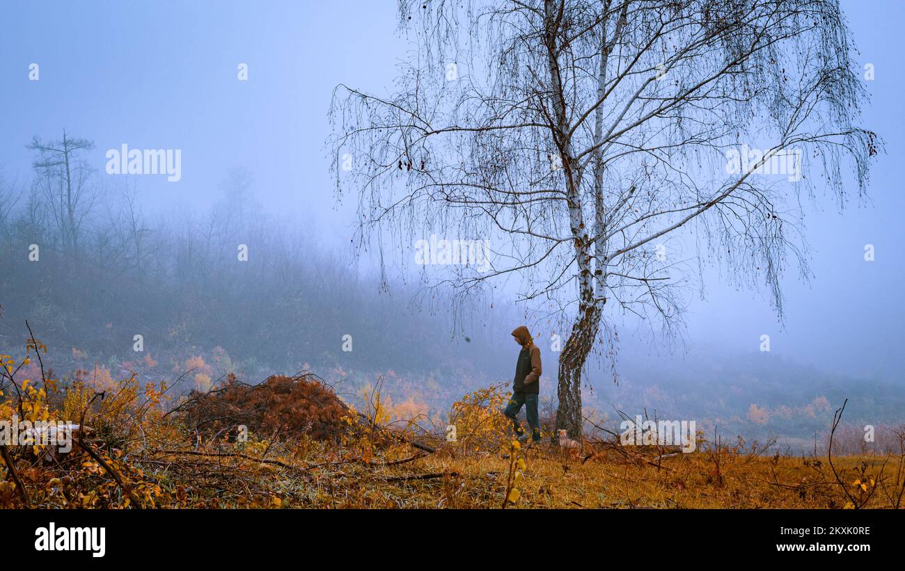 Foggy Dirt Road Beautiful Scene Misty dusk beech Autumn landscape ...