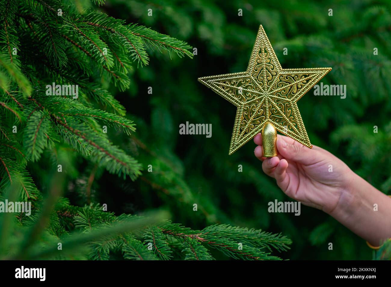Christmas tree background Kid hand hangs decorating green Red ball toy ...