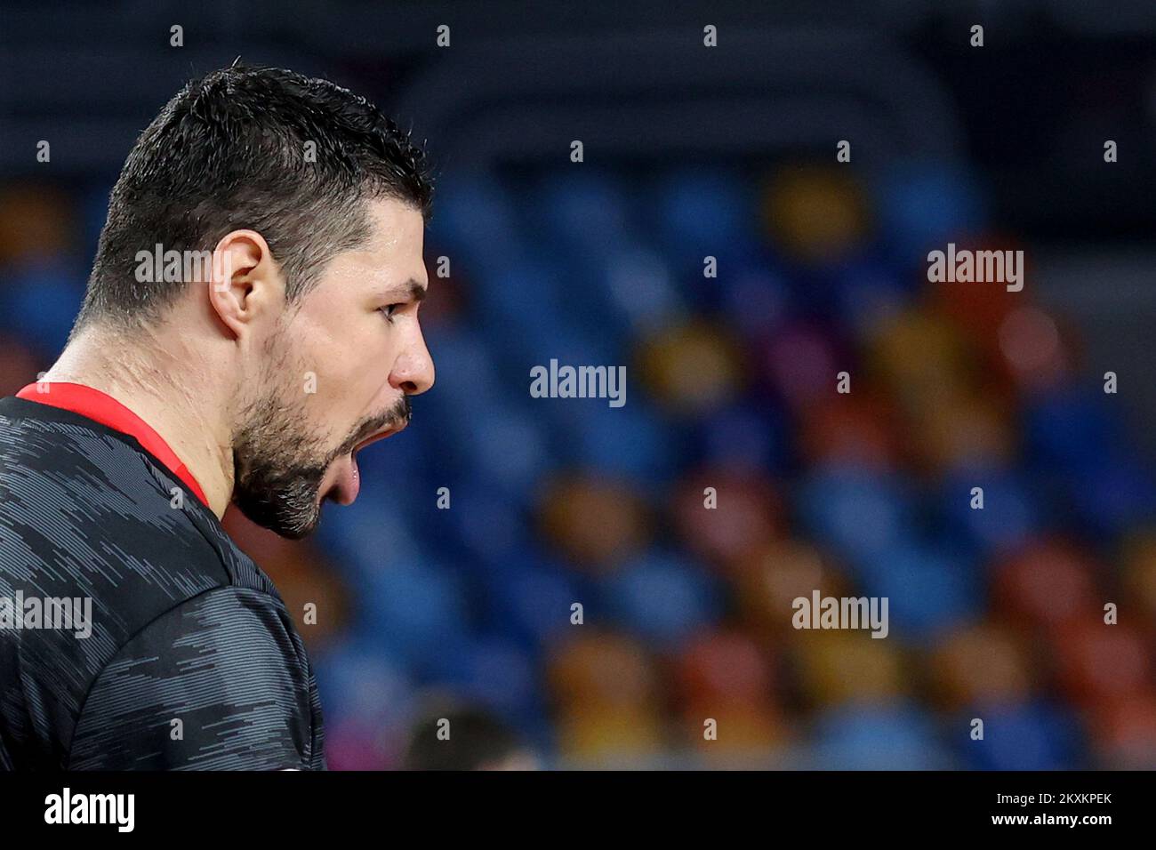 Ivan pesic handball hi-res stock photography and images - Alamy