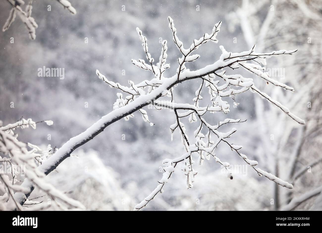 Winter weather on Medvednica mountain near Zagreb Croatia on 25 ...