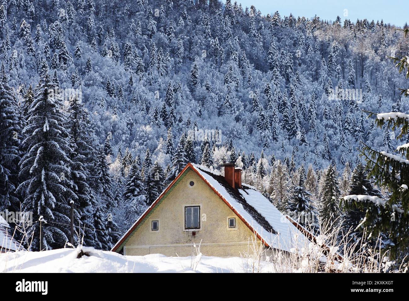 Photo taken on January 28, 2021 shows house at Cogrlja Lake in Moravice ...