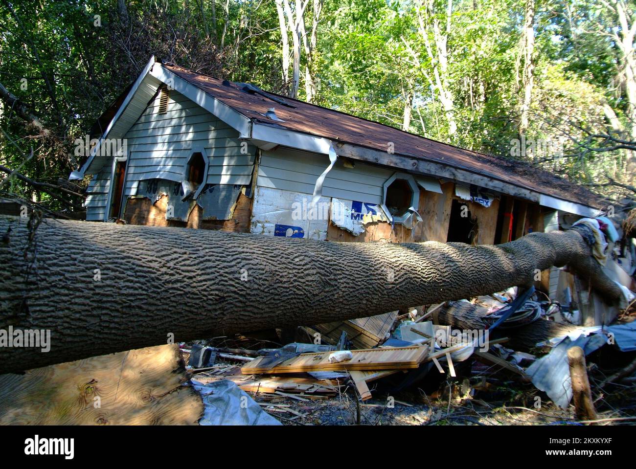 Stronger than the storm hi-res stock photography and images - Alamy