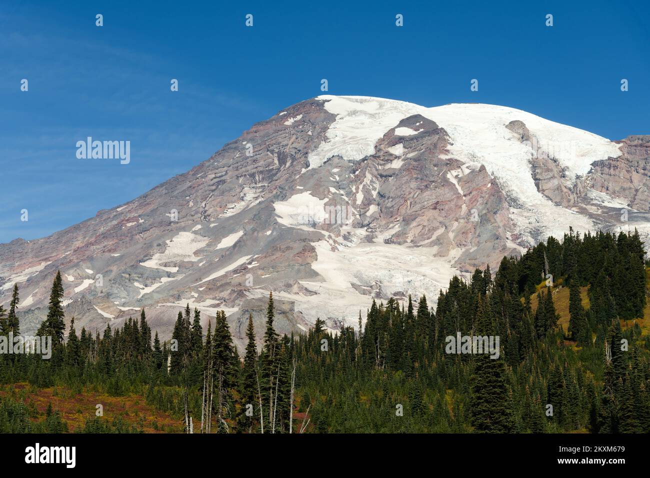 Snow capped Mount Rainier volcano with glaciers in fall under a blue ...