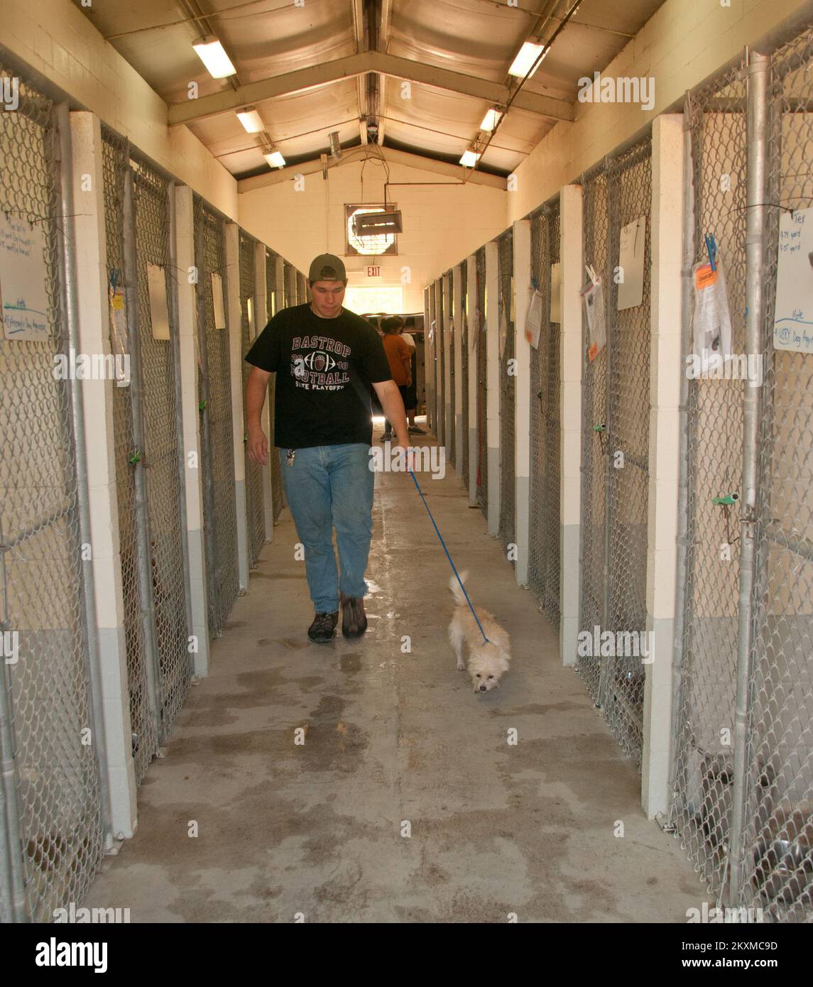 011100111 Volunteers help with animals in shelters after the. Texas ...