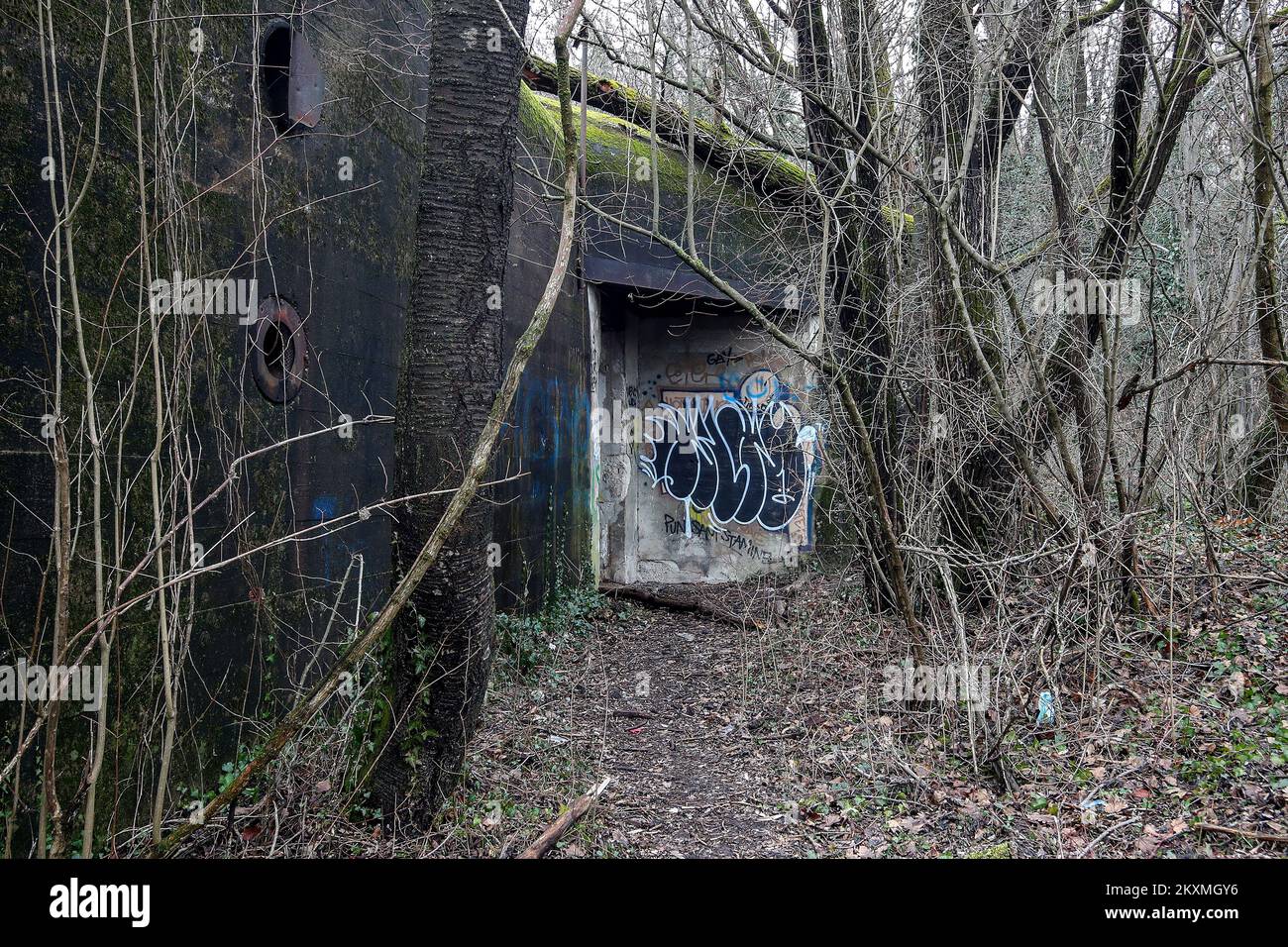 Photo taken on January 25, 2021 shows one of the largest remaining ...