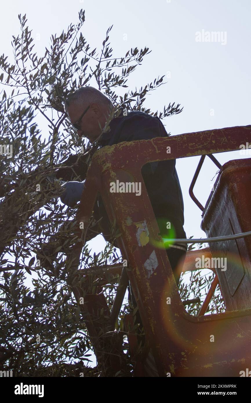 Photo taken on March 26, 2021 shows cut-for-plantâ€™s-benefit actions ...