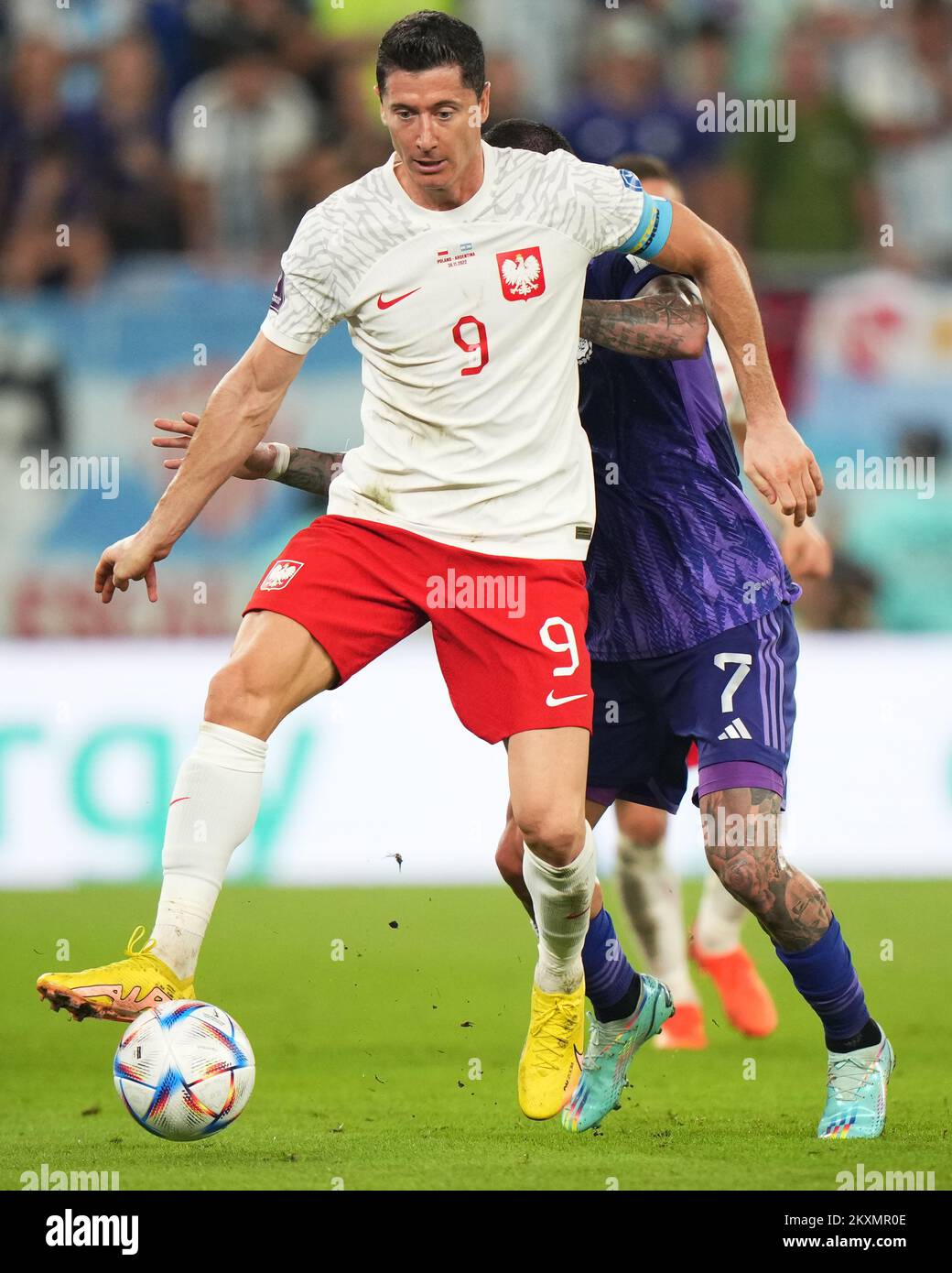 Robert Lewandowski of Poland during the FIFA World Cup, Qatar. , . in ...