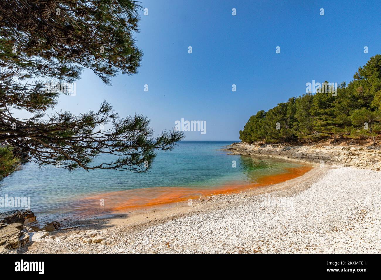 Photo taken on March 29 shows "red tide", algae bloom in beach in Pula ...