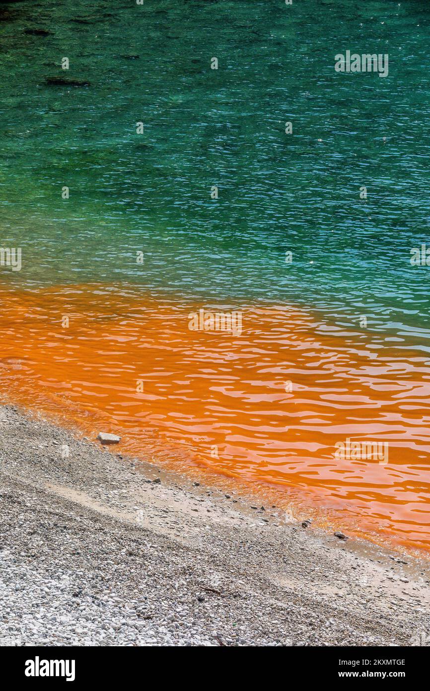 Photo taken on March 29 shows "red tide", algae bloom in beach in Pula, Croatia. Red tide is a ...