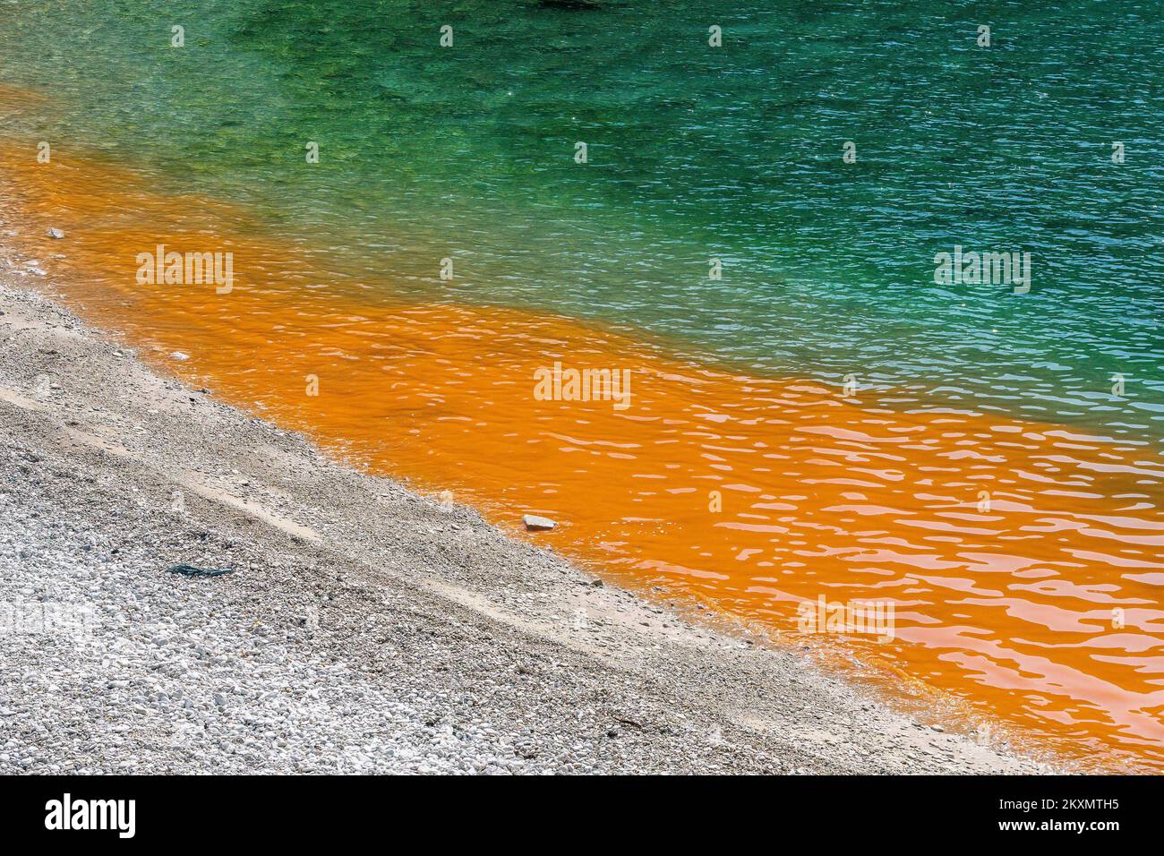 Photo taken on March 29 shows "red tide", algae bloom in beach in Pula, Croatia. Red tide is a ...