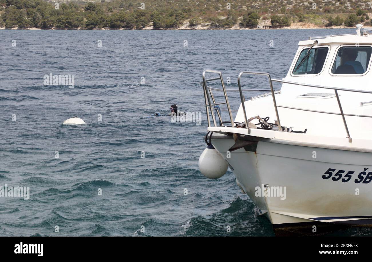 On the occasion of Planet Earth Day, Zoran Lucic Luca set up an ...