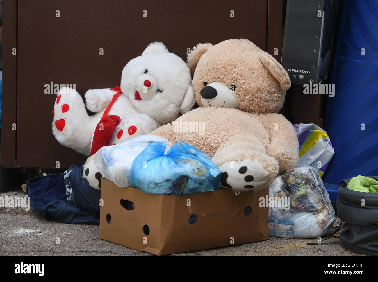 Two teddy bears became homeless and ended up in a garbage container in ...