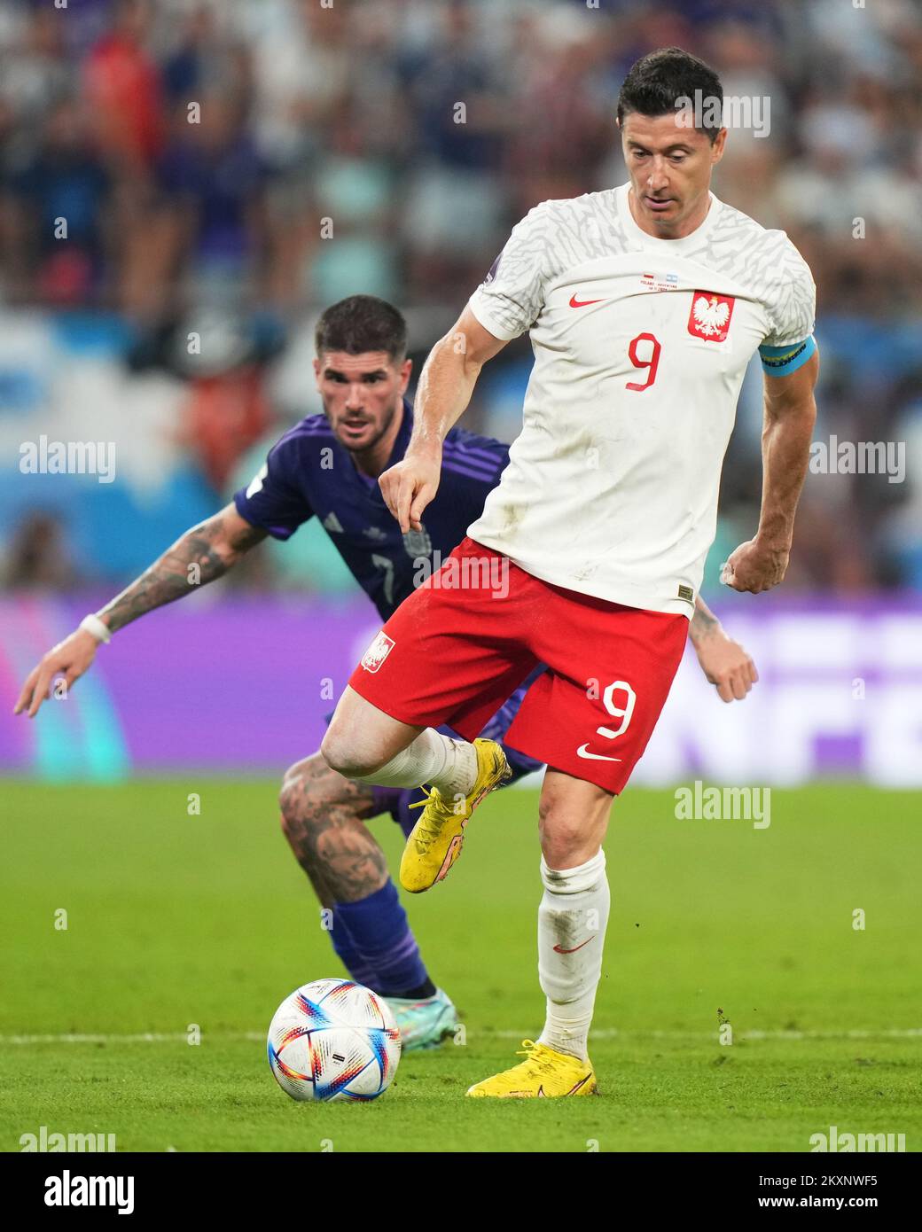 Robert Lewandowski of Poland during the FIFA World Cup, Qatar. , . in ...