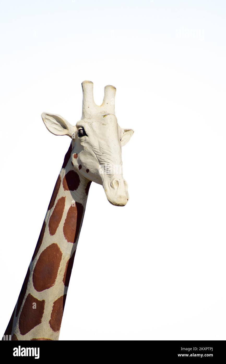 Statue of giraffe hi-res stock photography and images - Alamy