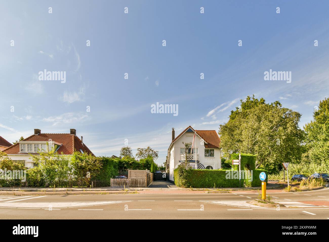 View of street near building with beauty of vegetation outside Stock ...