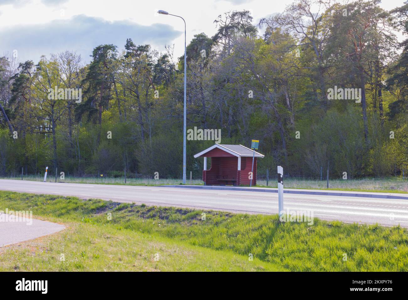 Beautiful view of standard bus stop near park with forest trees in ...