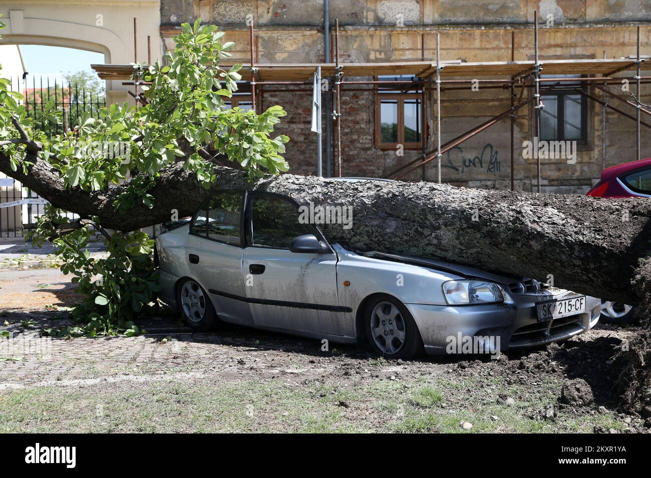 The tree fell and damaged the car in Sisak on August 1, 2021 ...