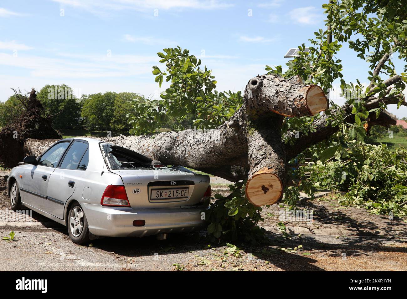 The tree fell and damaged the car in Sisak on August 1, 2021 ...
