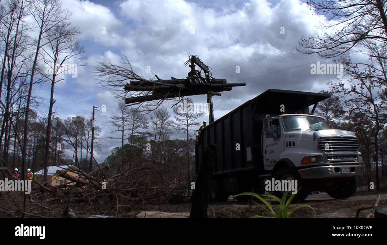 Hazardous Tree Removal. Texas Wildfires. Photographs Relating to ...