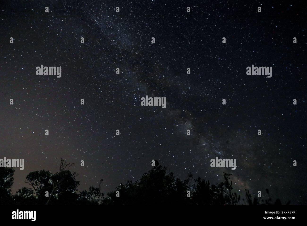 Perseids, known as the Tears of St. Lawrence are seen in the sky above ...