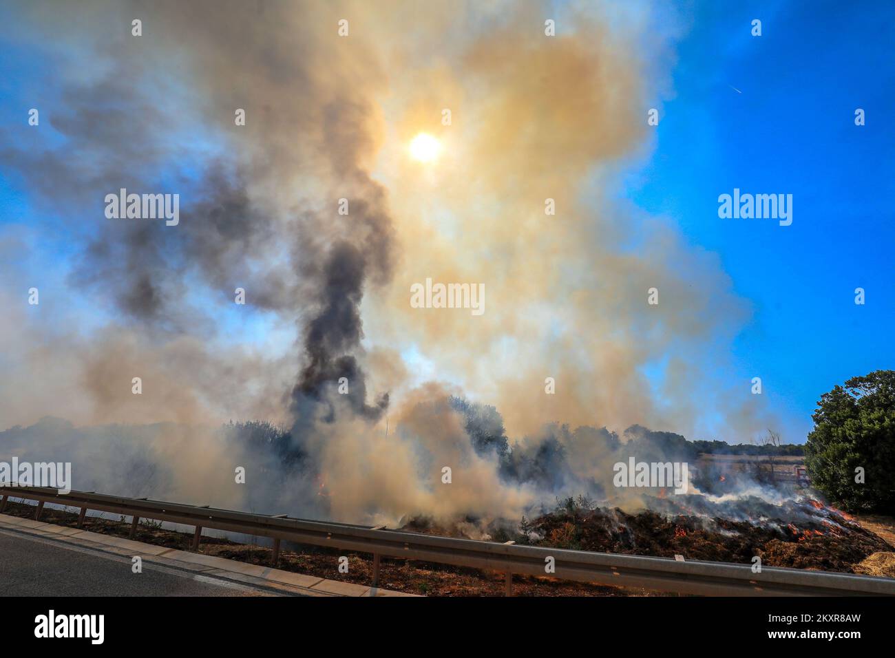 Sikici hi-res stock photography and images - Alamy