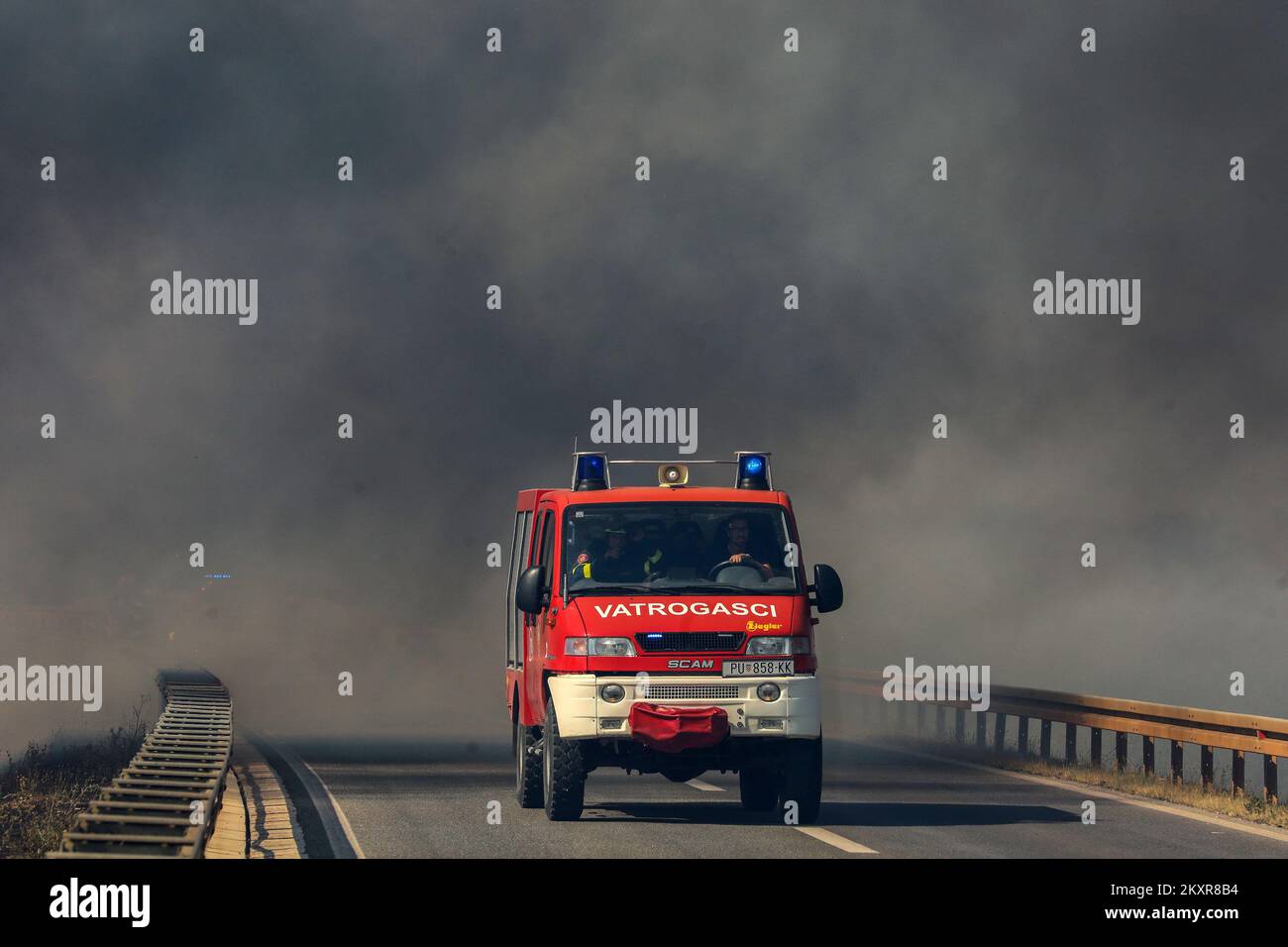 Sikici hi-res stock photography and images - Alamy