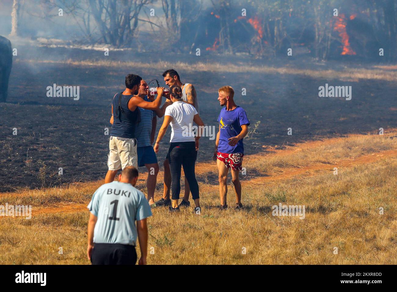 Sikici hi-res stock photography and images - Alamy