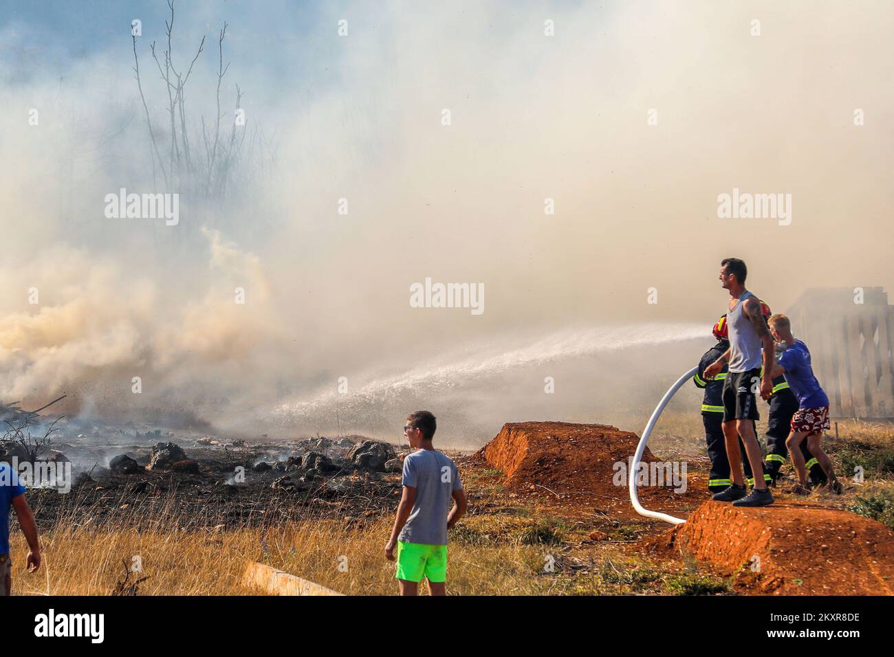 Sikici hi-res stock photography and images - Alamy