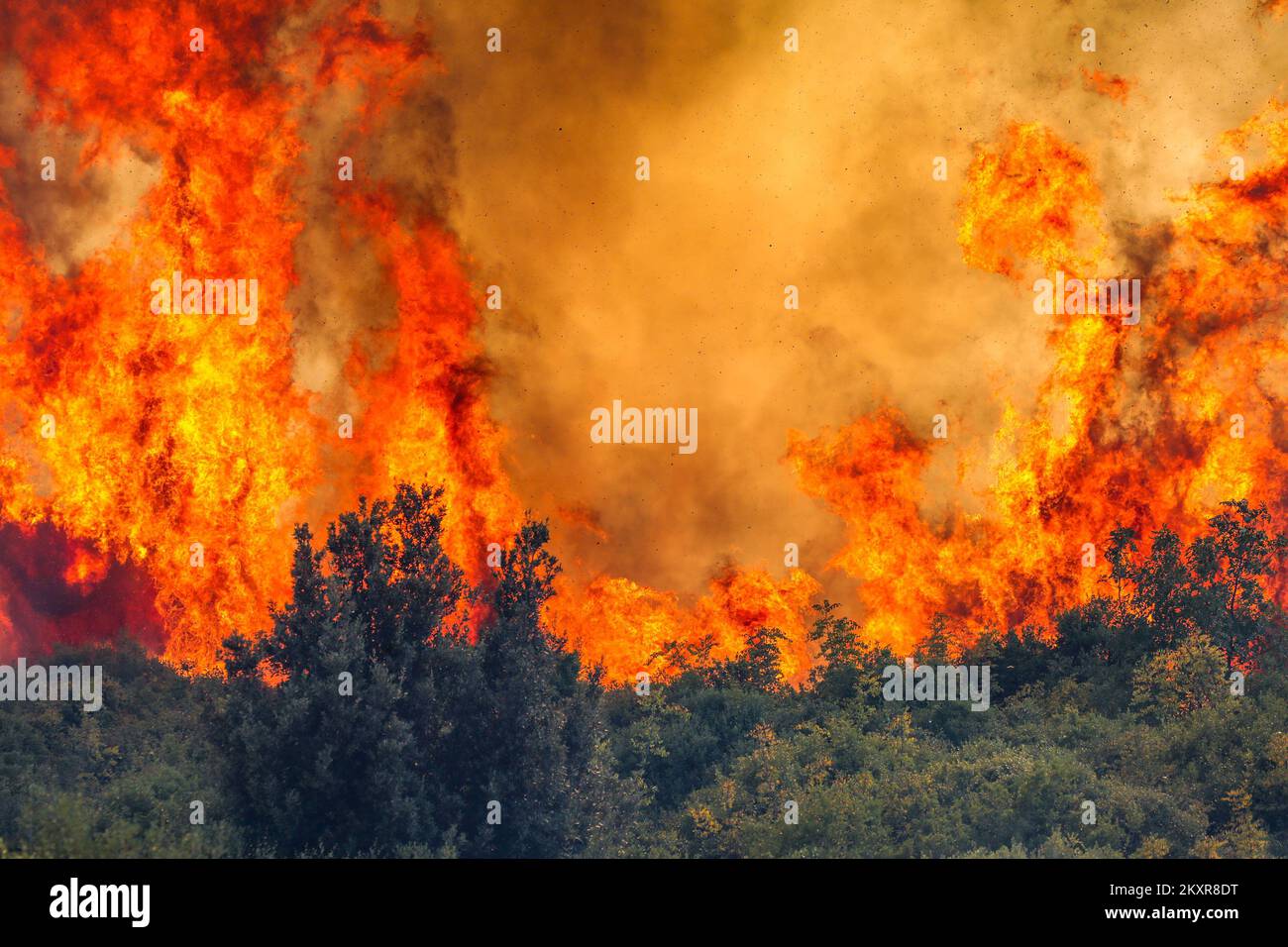 Sikici hi-res stock photography and images - Alamy