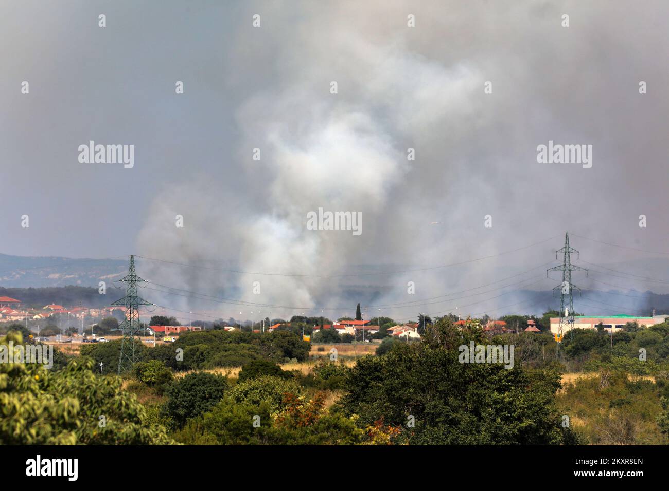 Sikici hi-res stock photography and images - Alamy