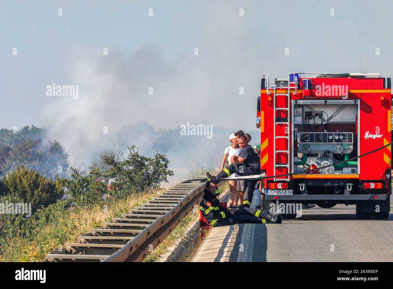 Sikici hi-res stock photography and images - Alamy