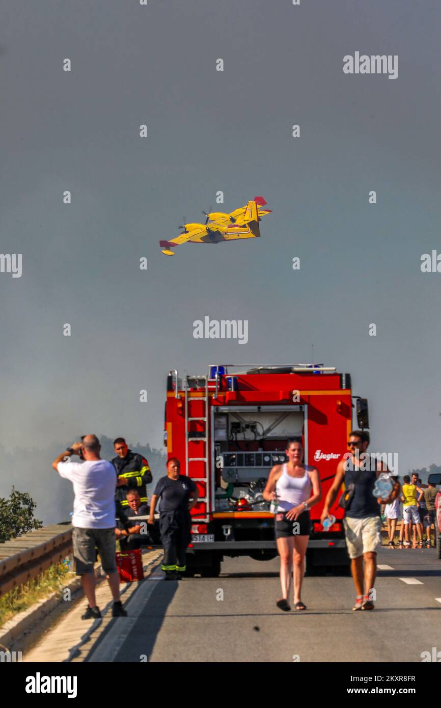 Sikici hi-res stock photography and images - Alamy