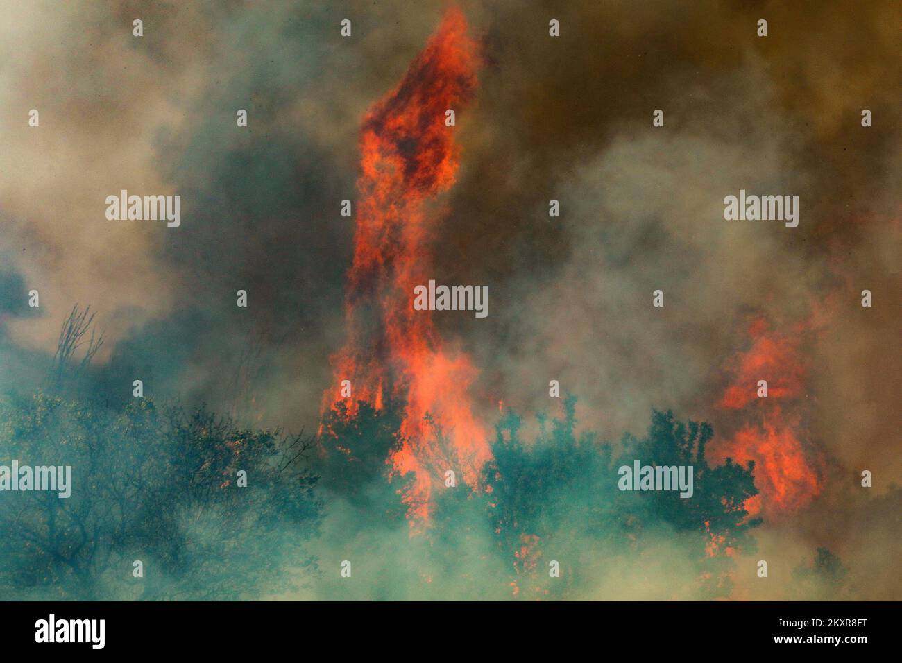 Sikici hi-res stock photography and images - Alamy