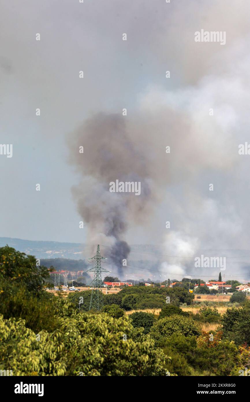 Sikici hi-res stock photography and images - Alamy