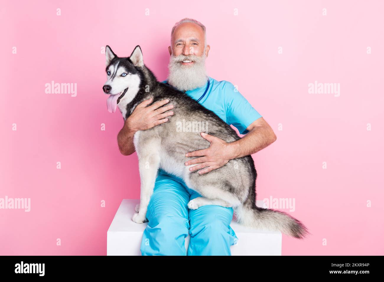 Photo of male vet examine purebred husky vaccine rabies isolated on ...