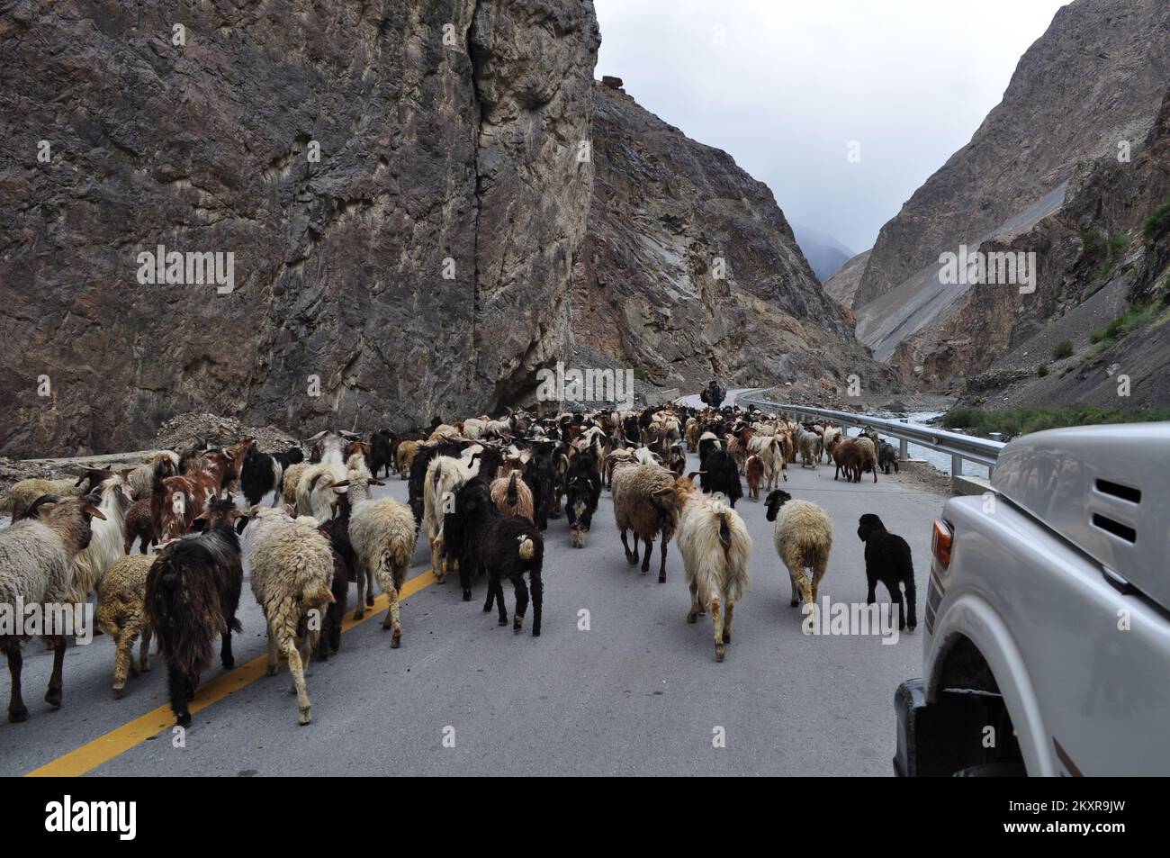 High altitude grazing hi-res stock photography and images - Alamy