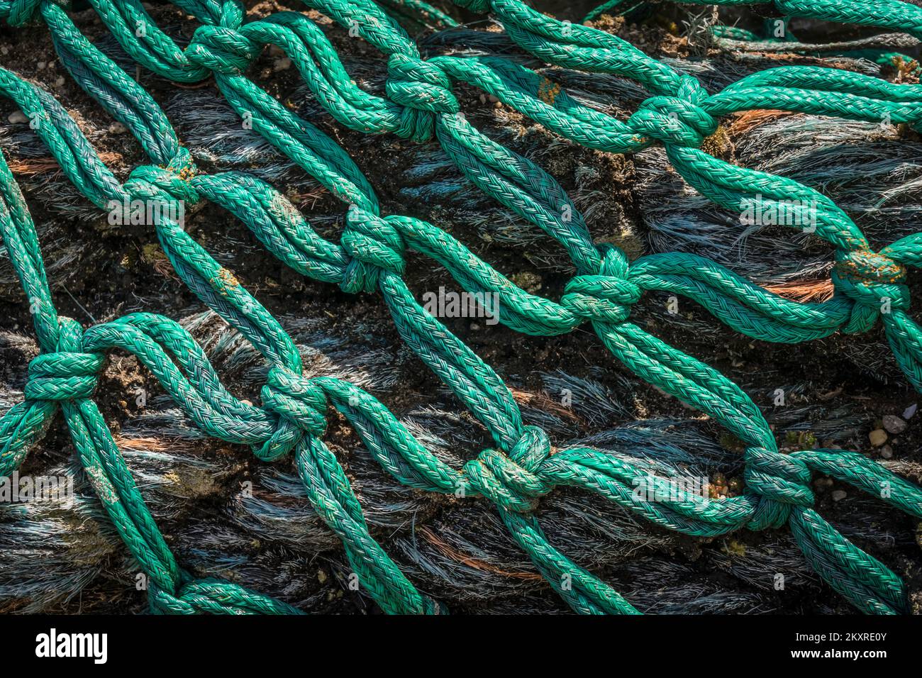 detail of a weathered fishing net Stock Photo - Alamy