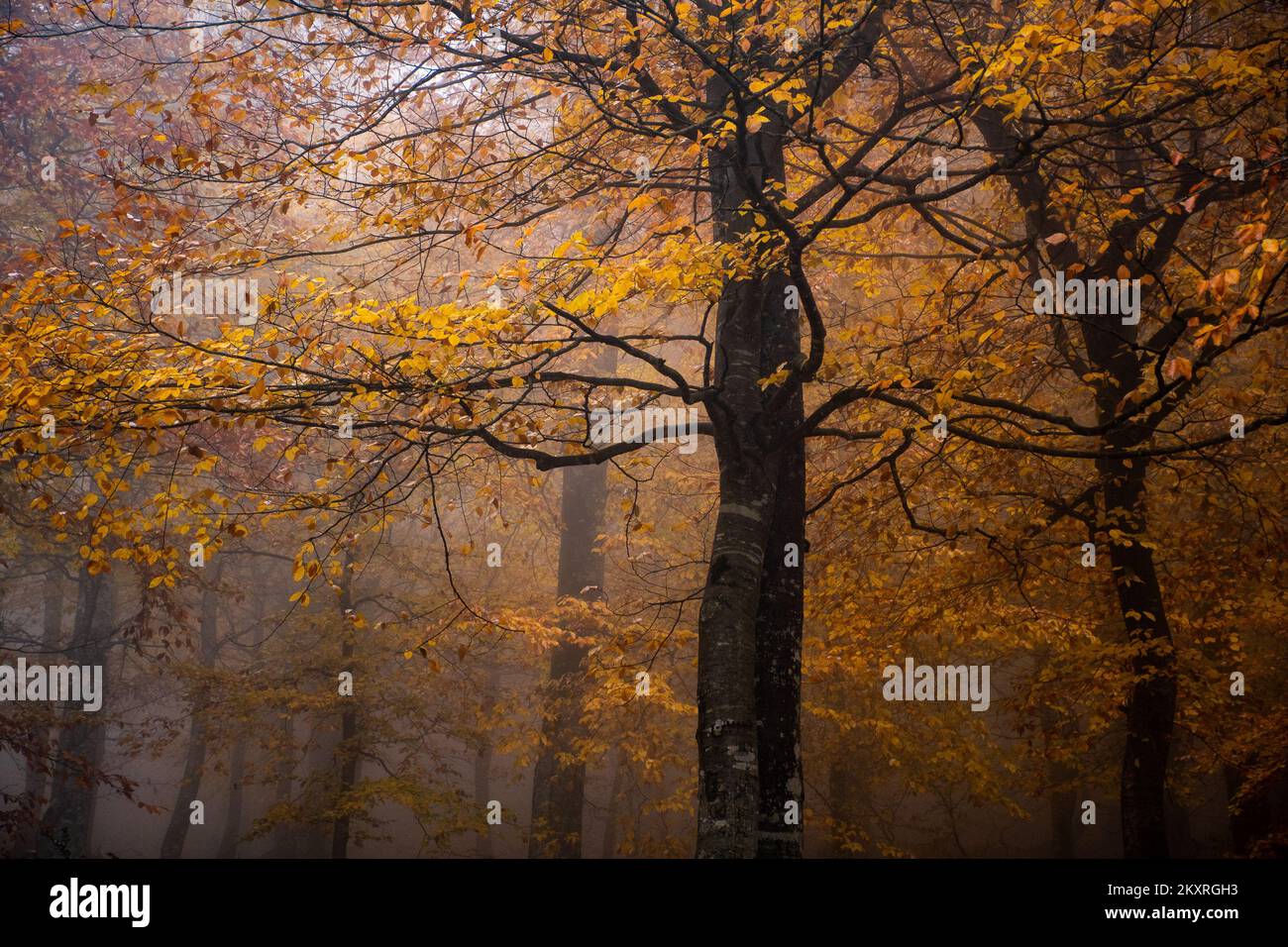 Horizantal lines hi-res stock photography and images - Alamy