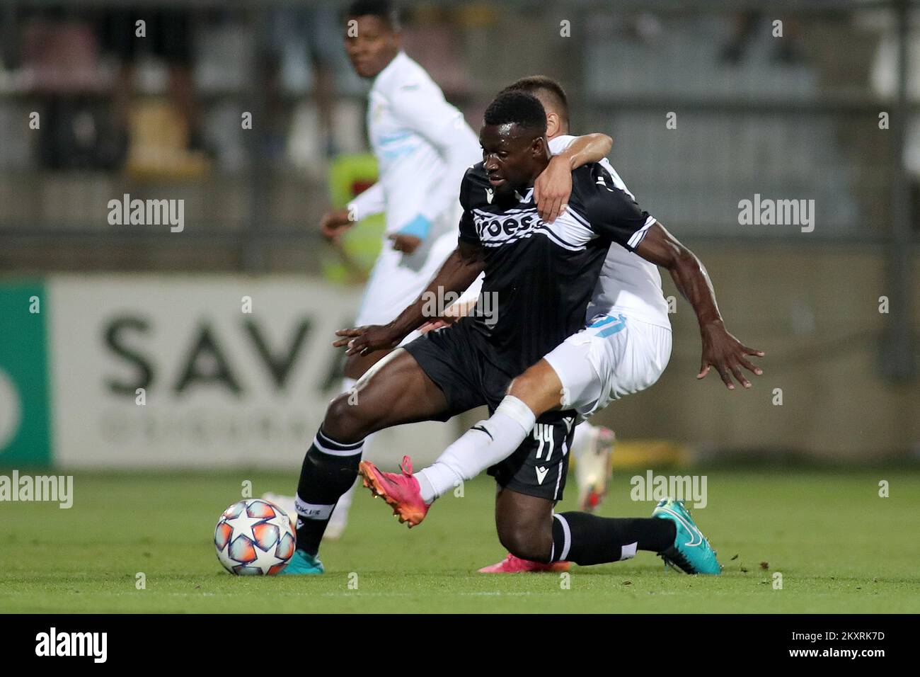 Lindon selahi 2021 hi-res stock photography and images - Alamy