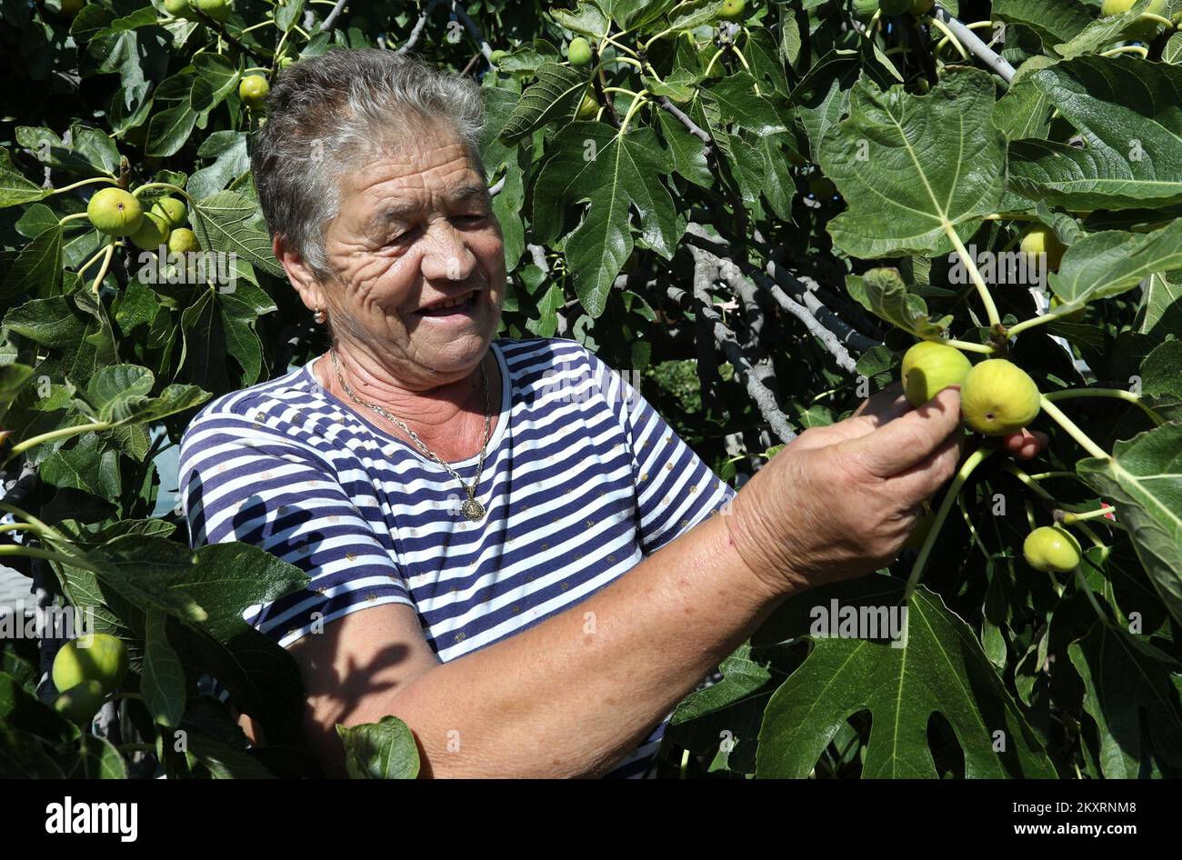 Natural fruit drying process hi-res stock photography and images - Alamy