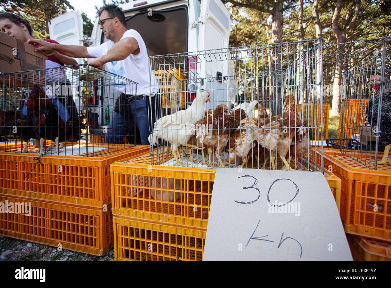One of the oldest and largest fairs in Benkovac, Croatia, the Benkovac ...
