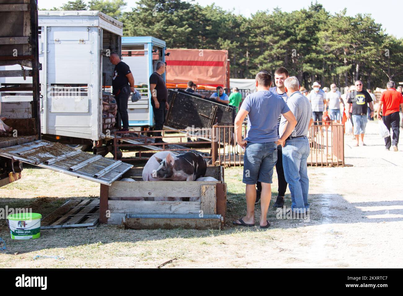 One of the oldest and largest fairs in Benkovac, Croatia, the Benkovac ...