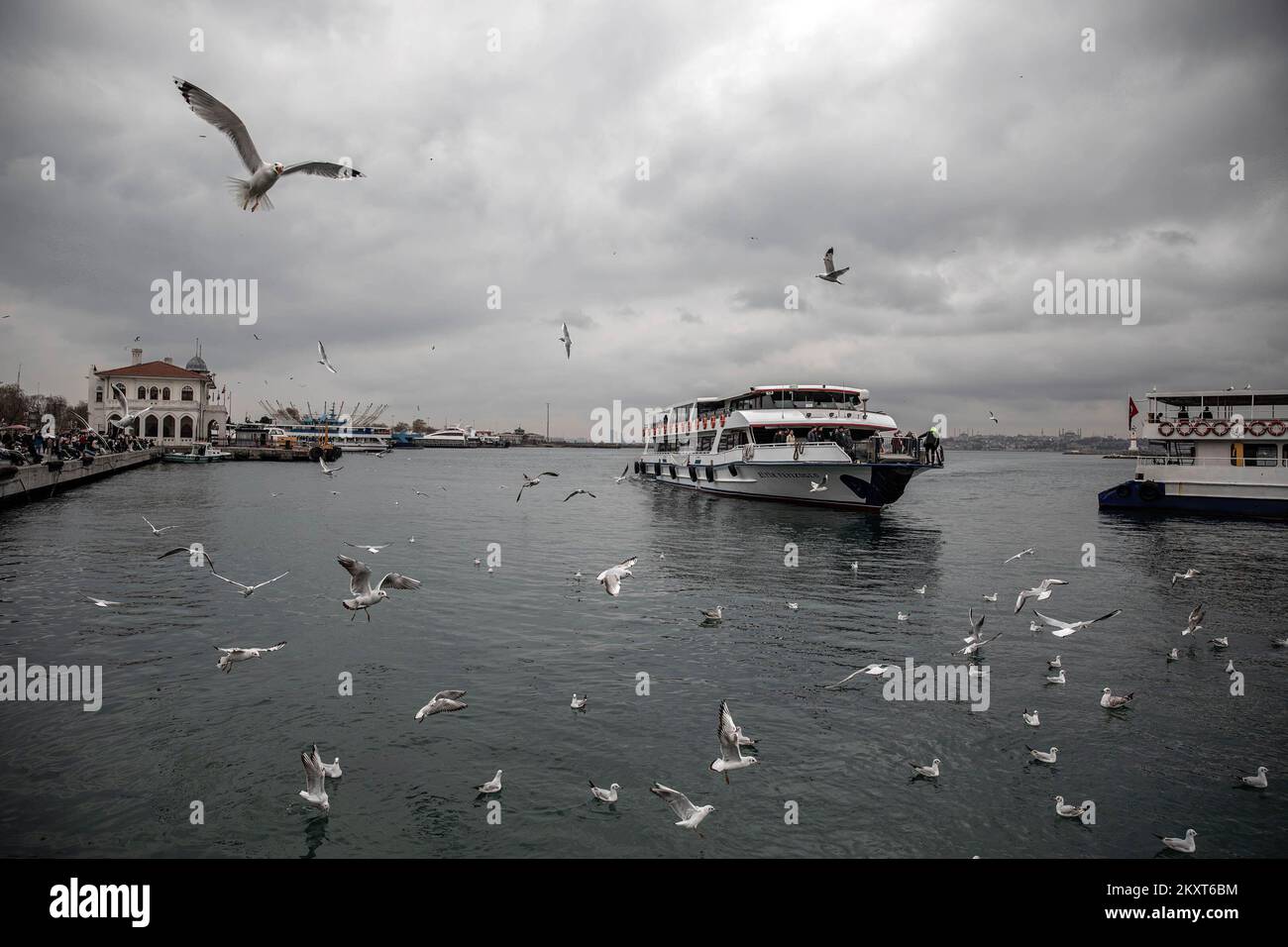 Seagulls flying over the sea and a passenger boat at the Kadikoy pier ...