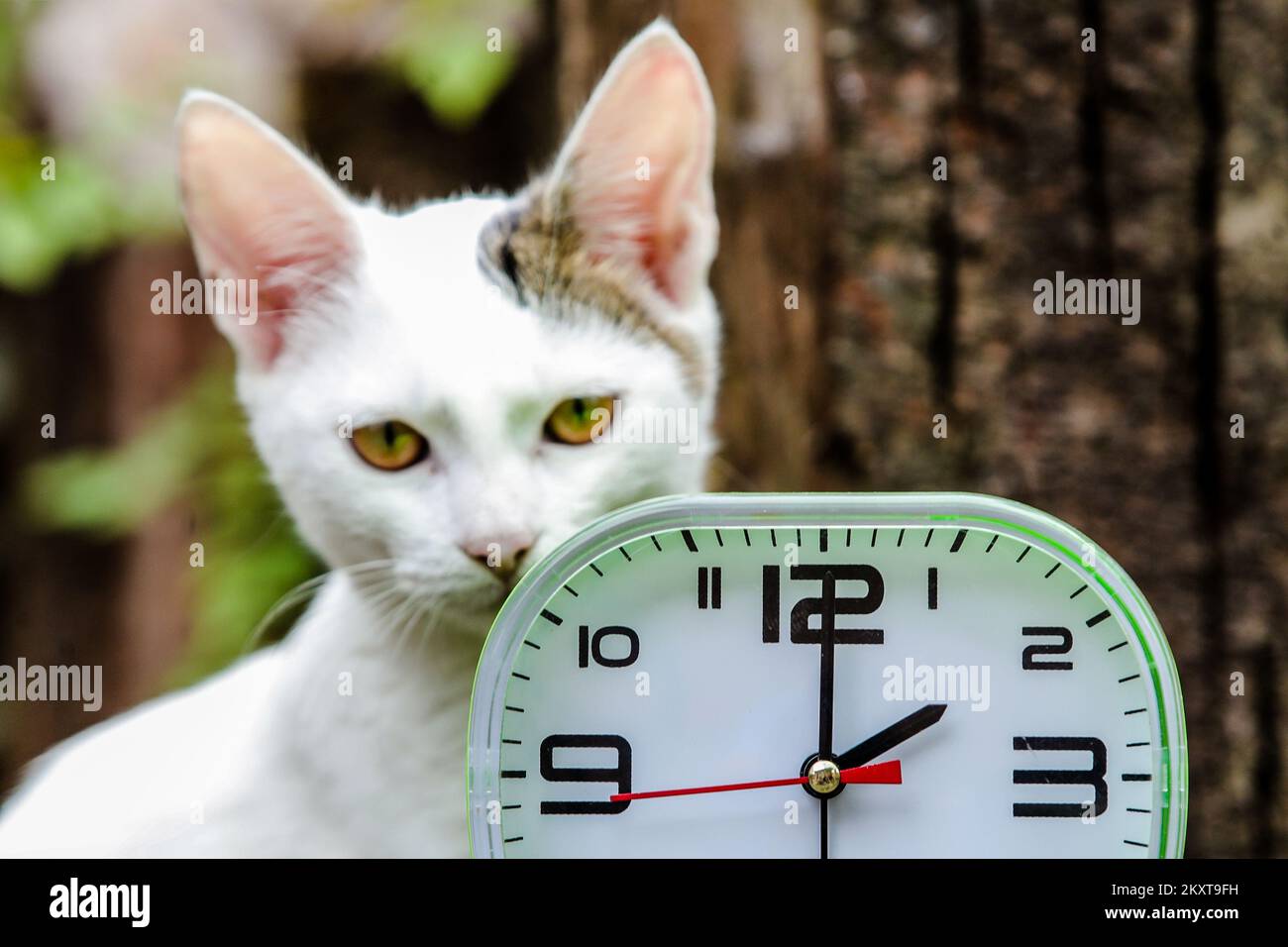 Clocks going back hi-res stock photography and images - Alamy