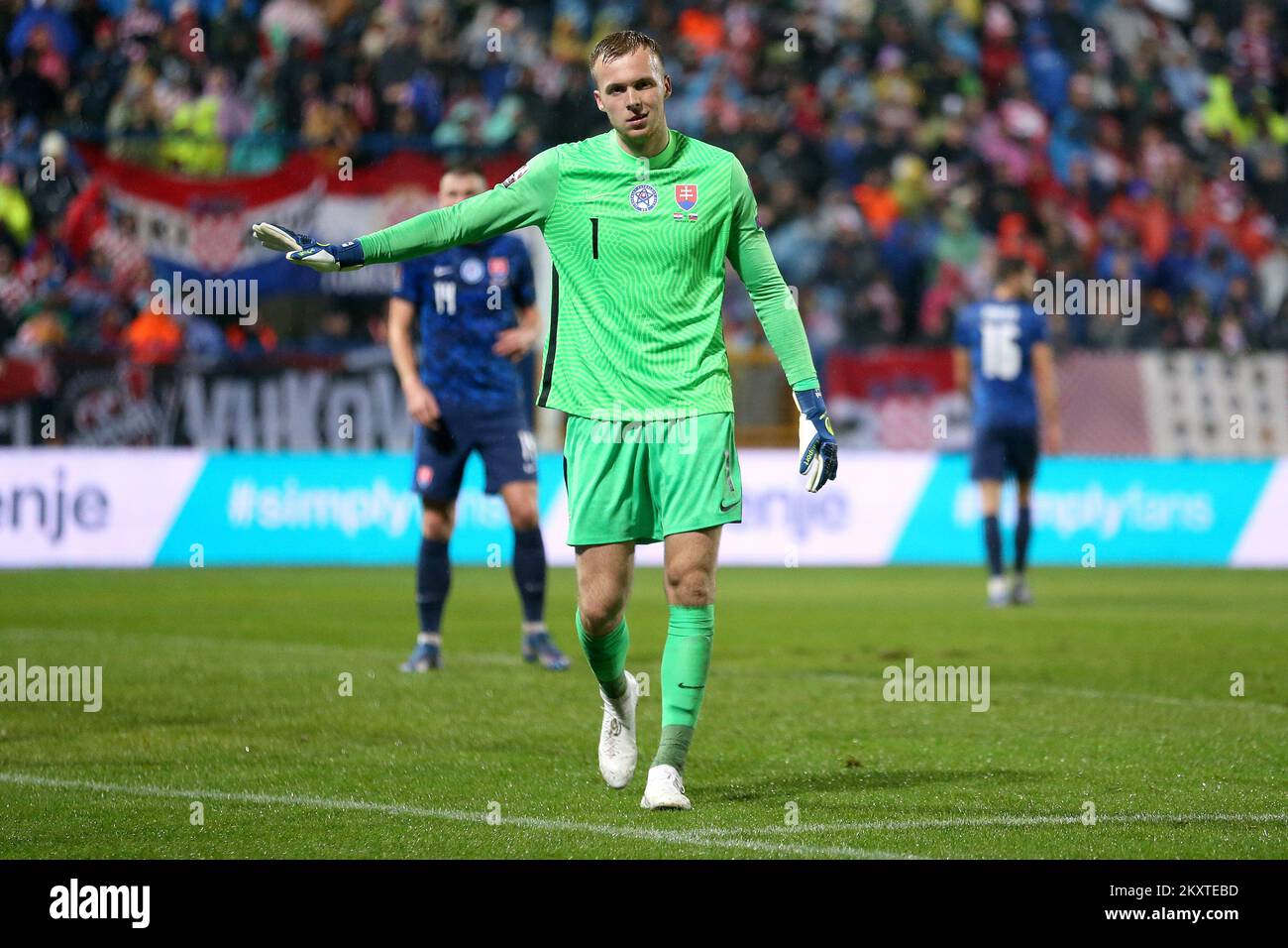 Goalkeeper Marek Rodak of Slovakia gestures during the 2022 FIFA World ...