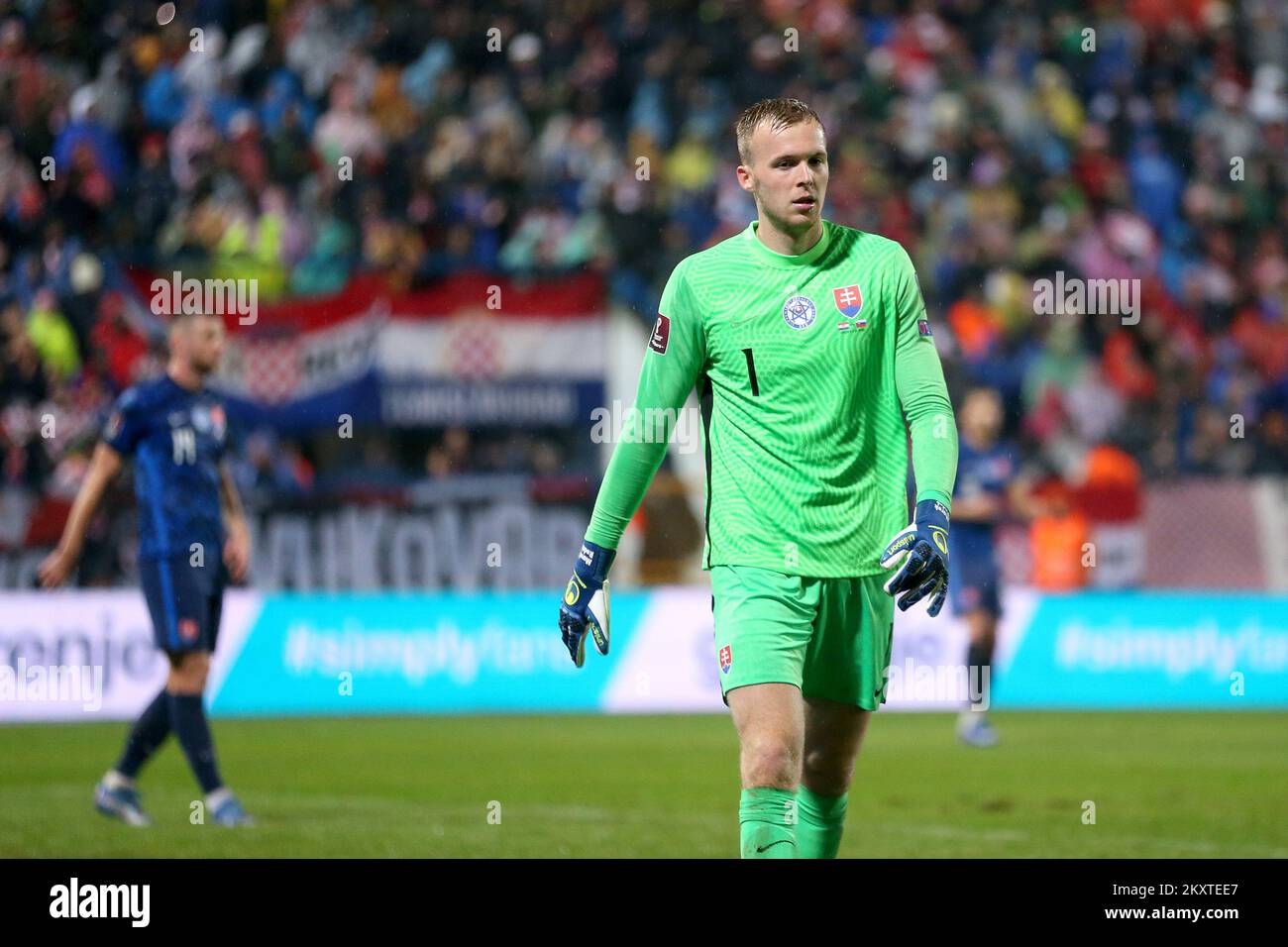 Goalkeeper Marek Rodak of Slovakia in action during the 2022 FIFA World ...