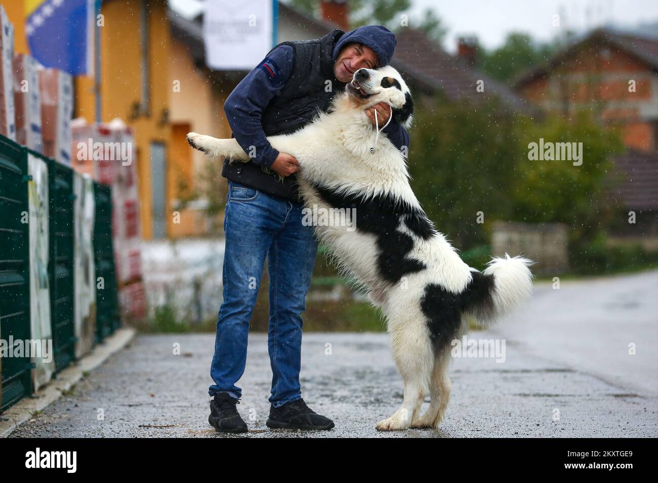 The most beautiful mountain shepherd dog Sevdah with owner Husnija ...