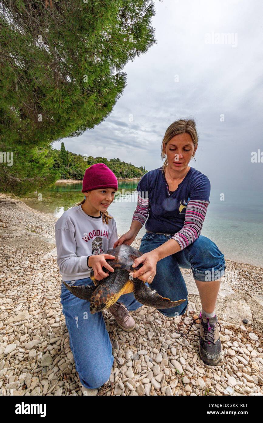 Two recovered loggerhead sea turtle Ella-Ravka and Martin returned to ...
