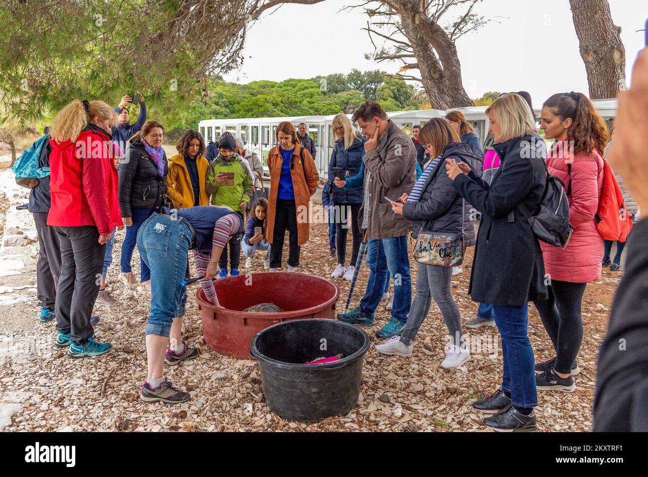 Ravka hi-res stock photography and images - Alamy